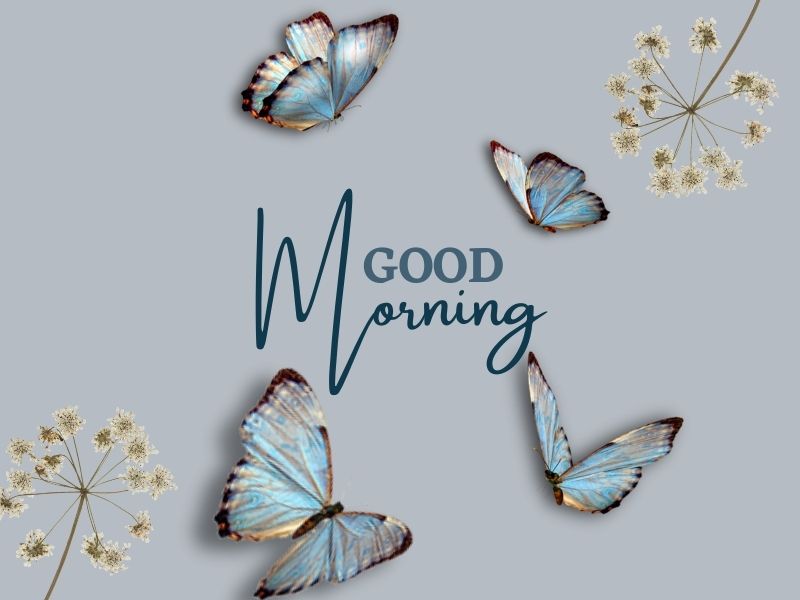 Unique Images Of Good Morning Seven Different Ways To Say Good Morning