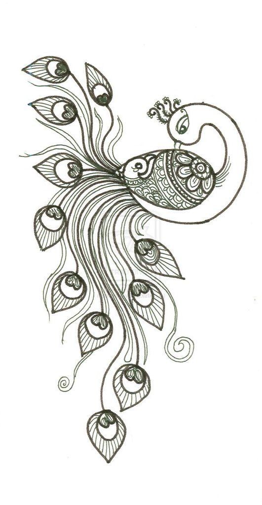 Peacock Drawing Images 36