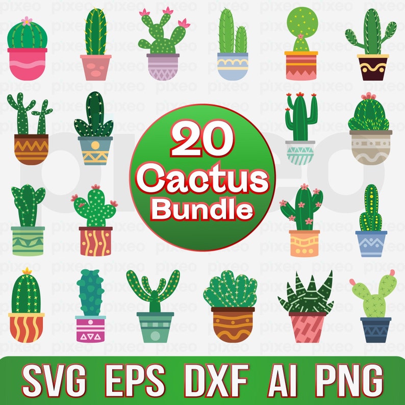 Cactus SVG Bundle Perfect for Crafting & Design Projects | cactussvg.com