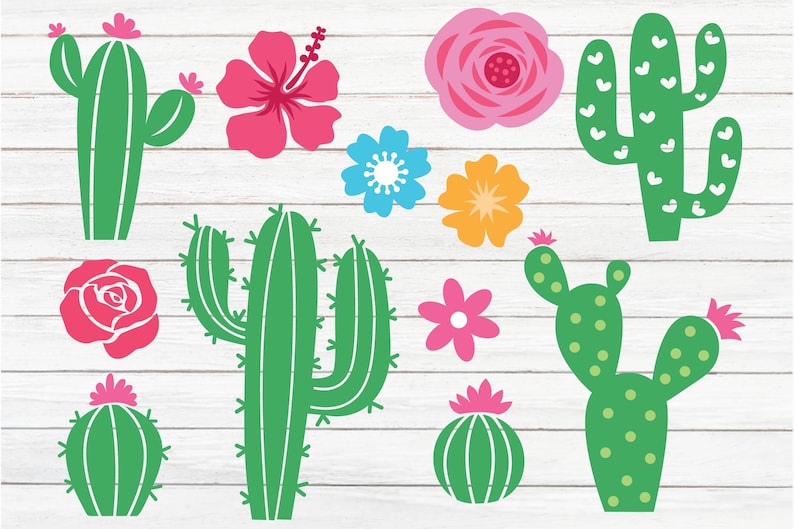 Cactus Flower SVG Perfect for Crafting & Design Projects | cactussvg.com