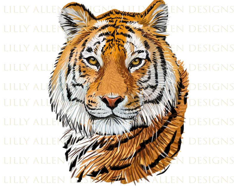 Tiger Illustrations Digital Download High Quality Perfect for your ...