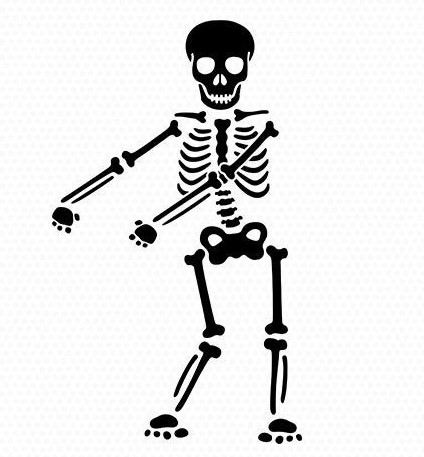 Skeleton Cut Files Free, Skeleton Svg | skeletonsvg.com