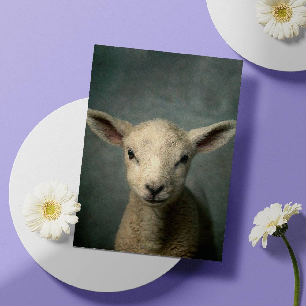 Elevation Greeting Cards | elevationmerch.com Elevation Greeting Cards | elevationmerch.com