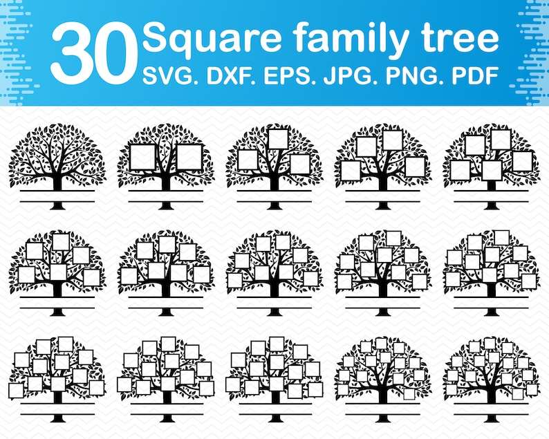 Square Family Tree Svg, Family Reunion Svg, Family Tree Cricut ...