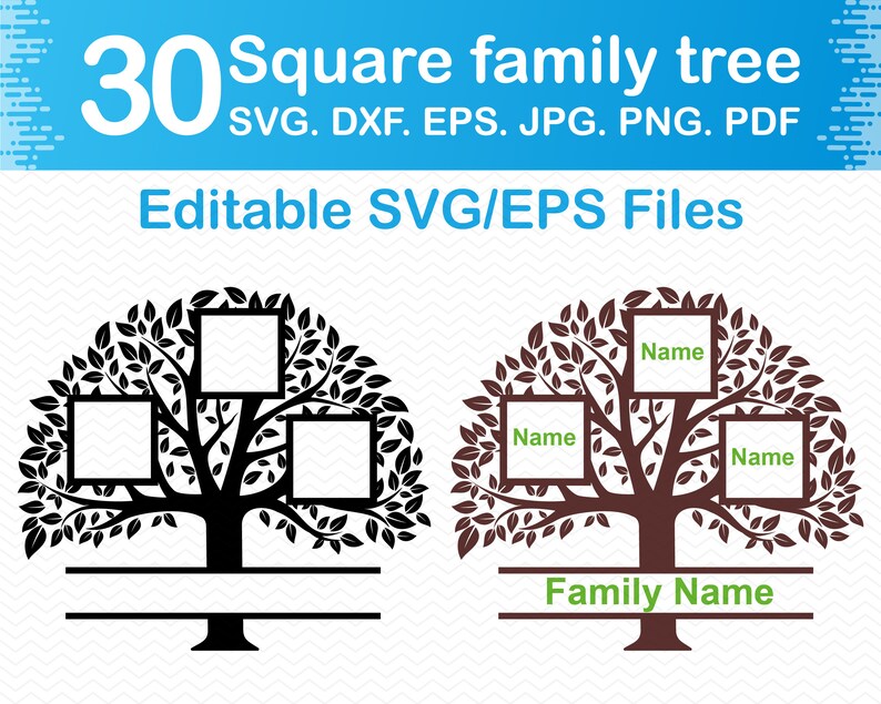 Square Family Tree Svg, Family Reunion Svg, Family Tree Cricut ...