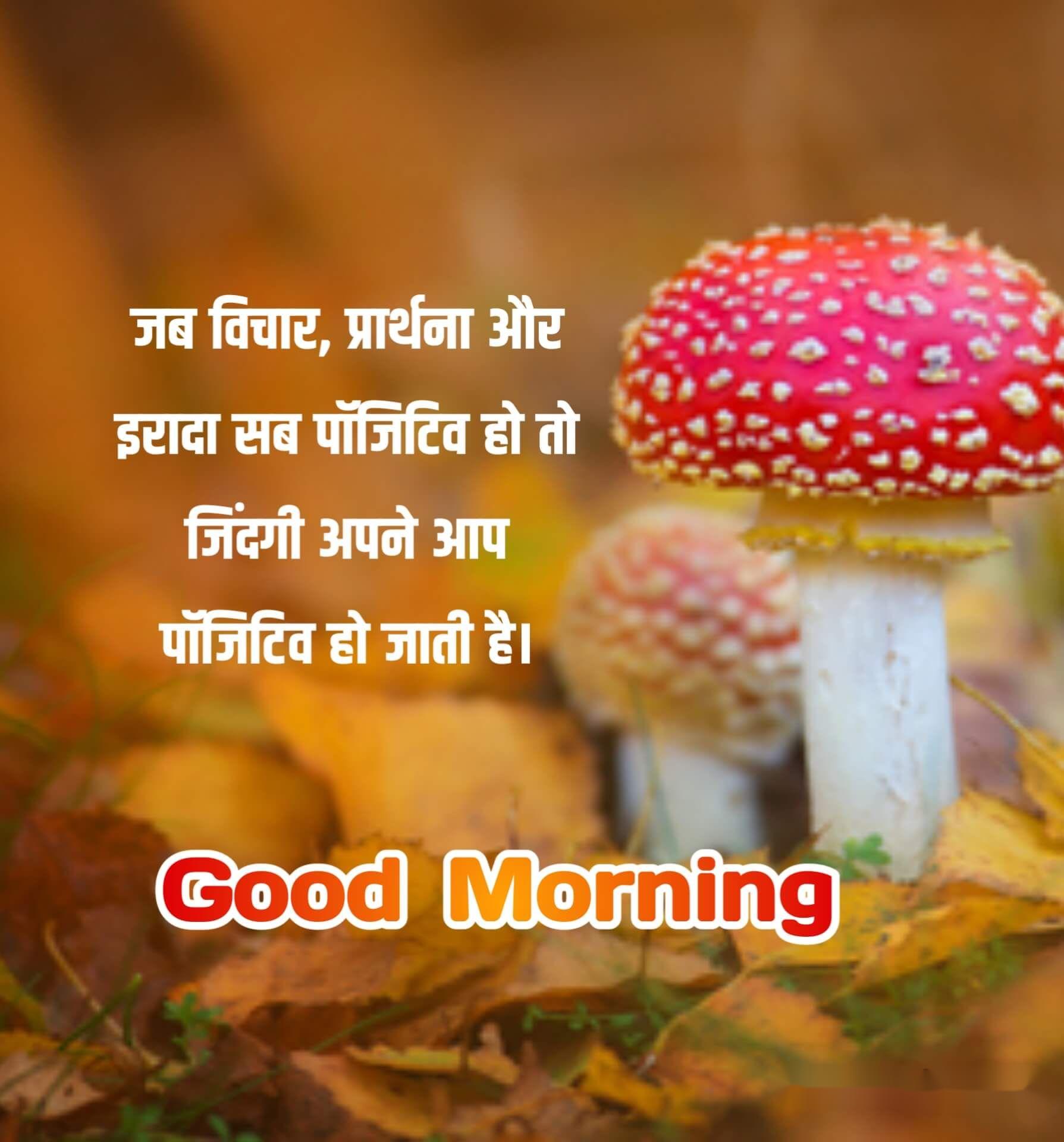 Good Morning Images with Quotes in Hindi 4 goodmorningquotesinhindi.in