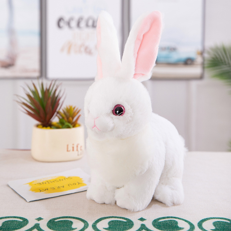 Plush Bunny | plushbunny.store
