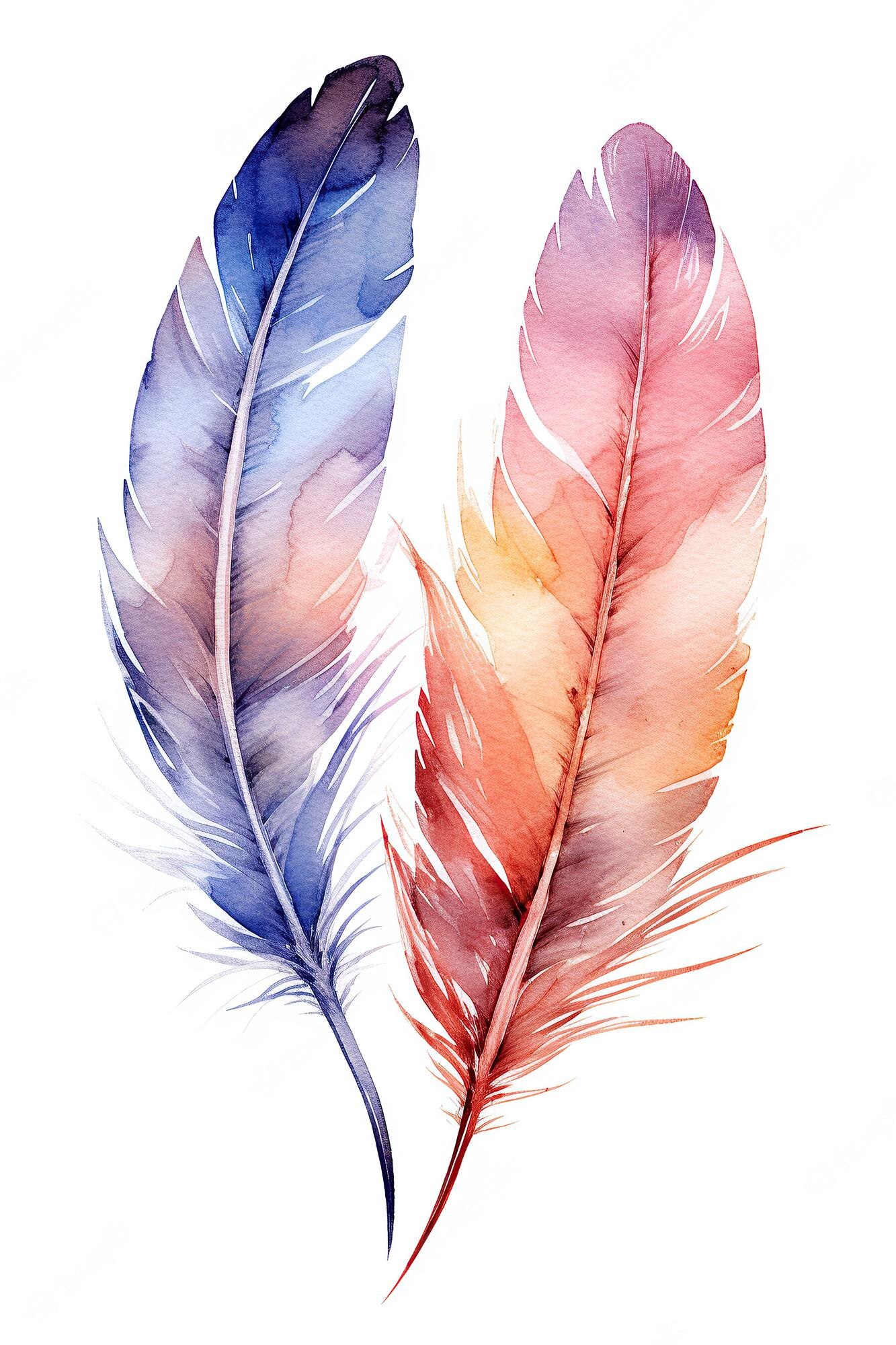 Feather Svg Free | feathersvg.com