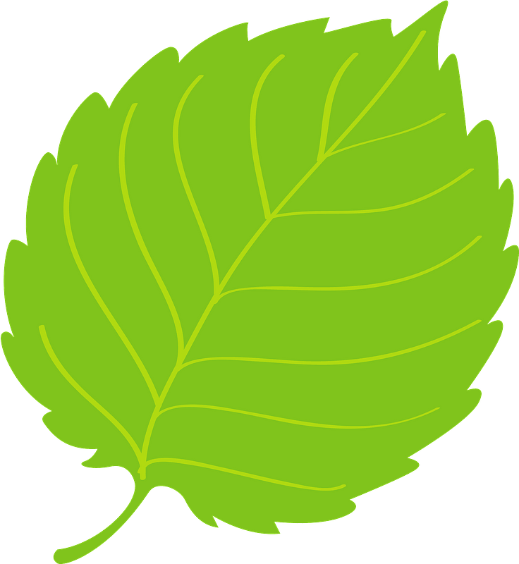 Free Rose Leaf Svg Template Creativity and Fun Digital Download ...