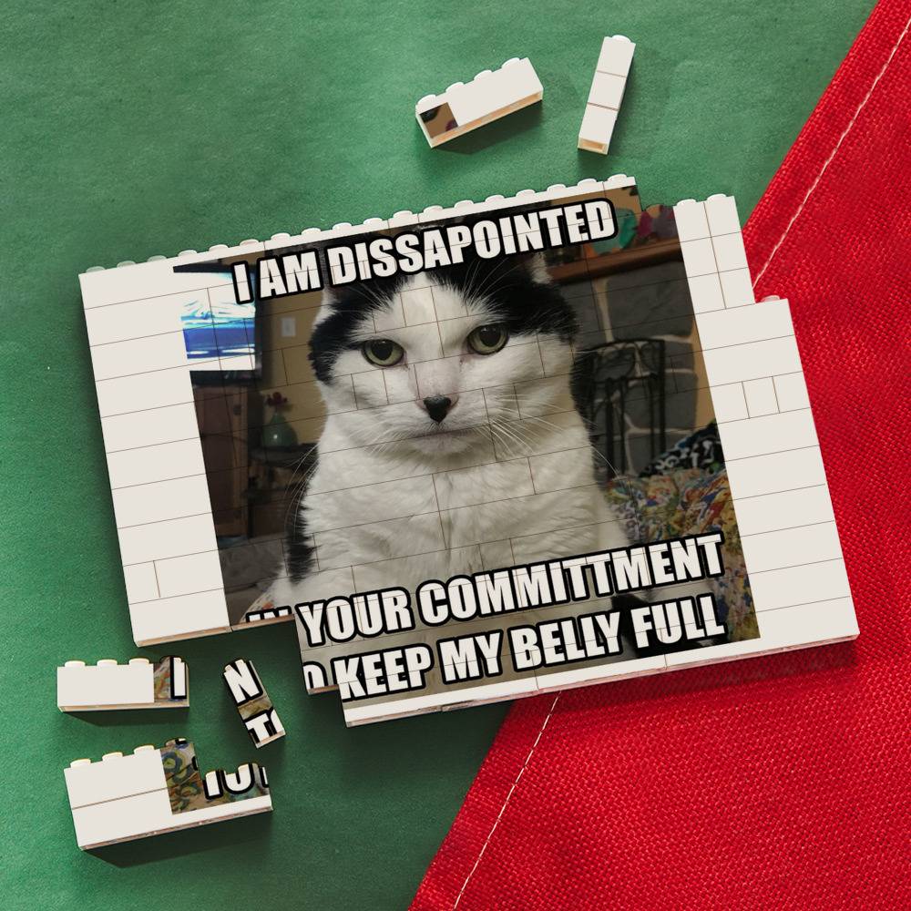 Disappointed Meme Building Blocks | disappointedmeme.store