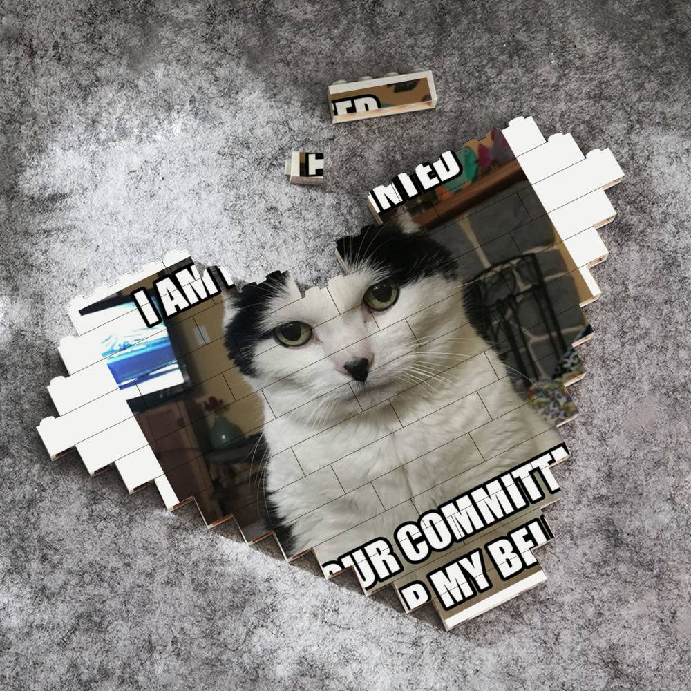 Disappointed Meme Building Blocks | disappointedmeme.store