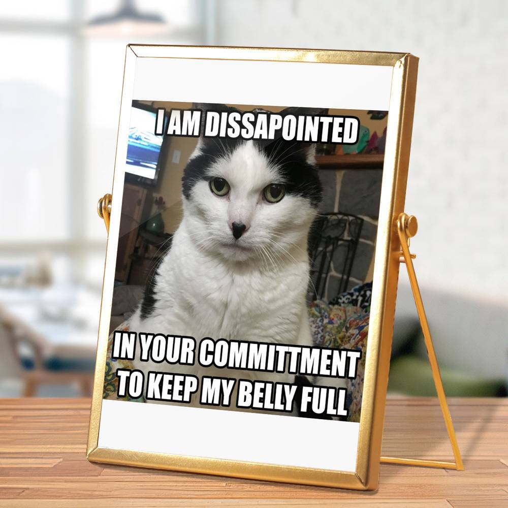 Disappointed Meme Plaques | disappointedmeme.store