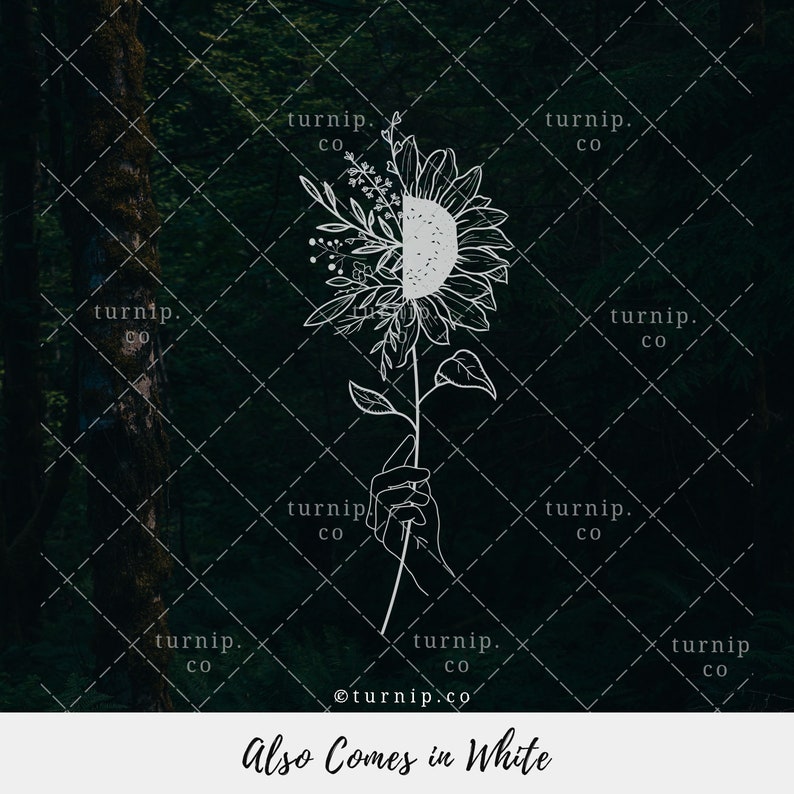 Half Sunflower Svg Black And White High Quality Perfect For Your Design